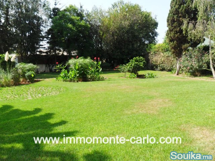 Annonce | Maroc | | Souika.ma